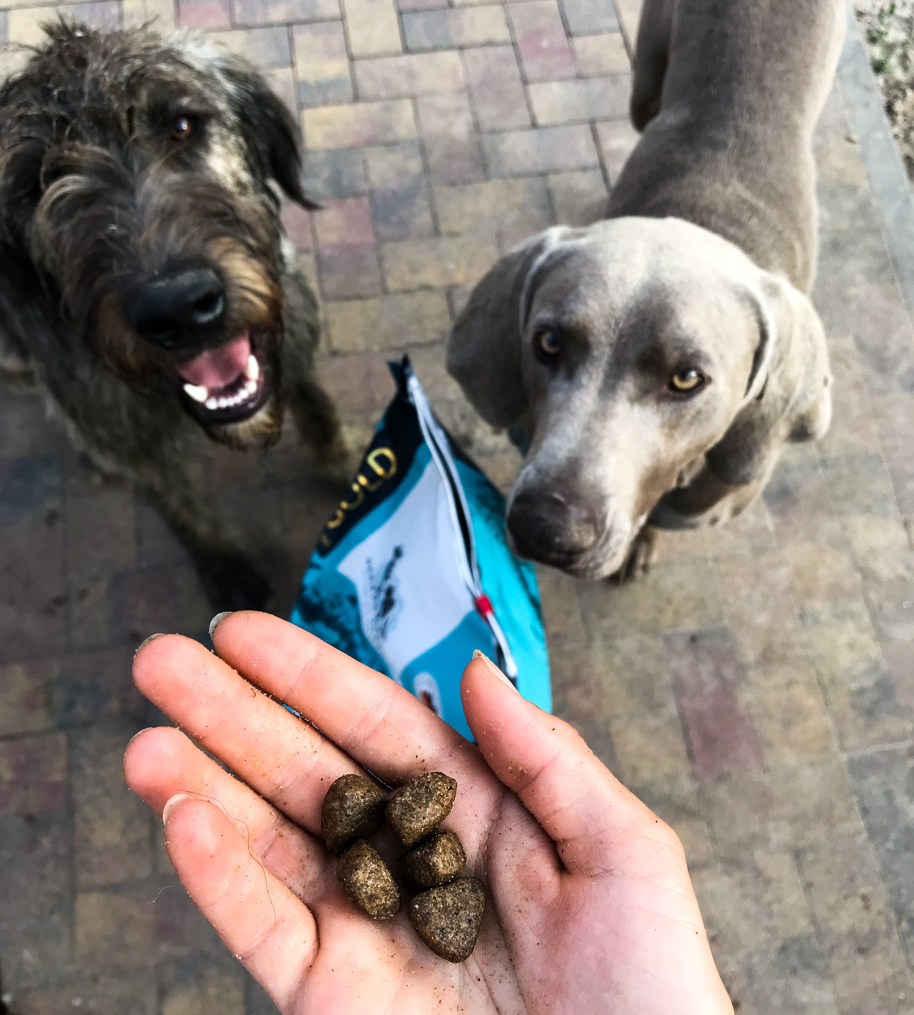 Was ist natürliches Hundefutter und welche Vorteile hat es? | Ratgeber ...